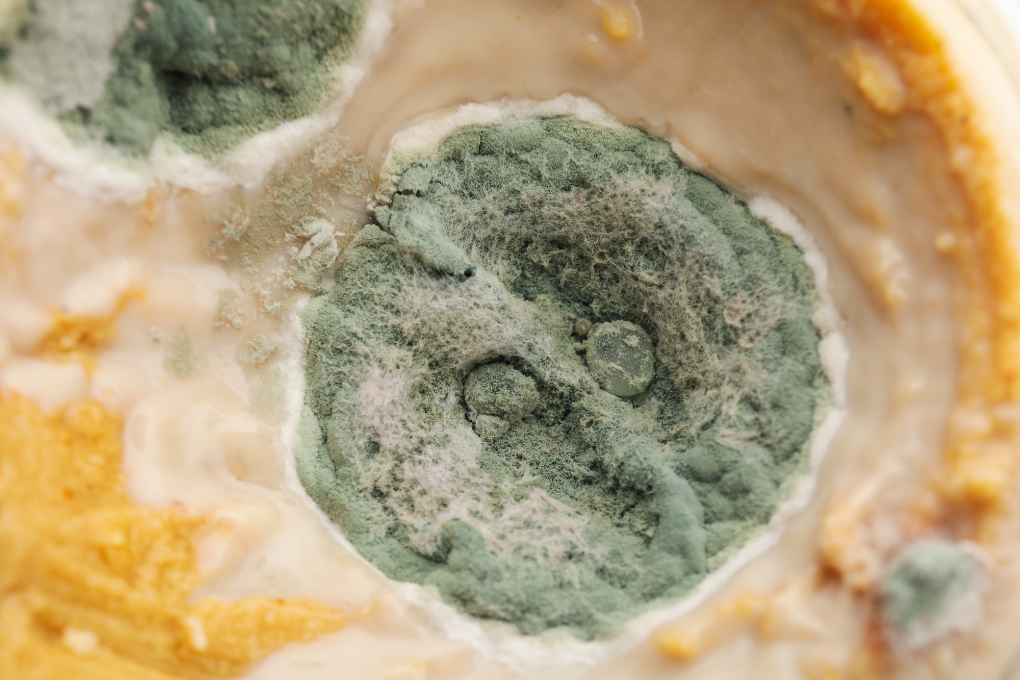 How to Know If Mold Exposure Is Making You Sick